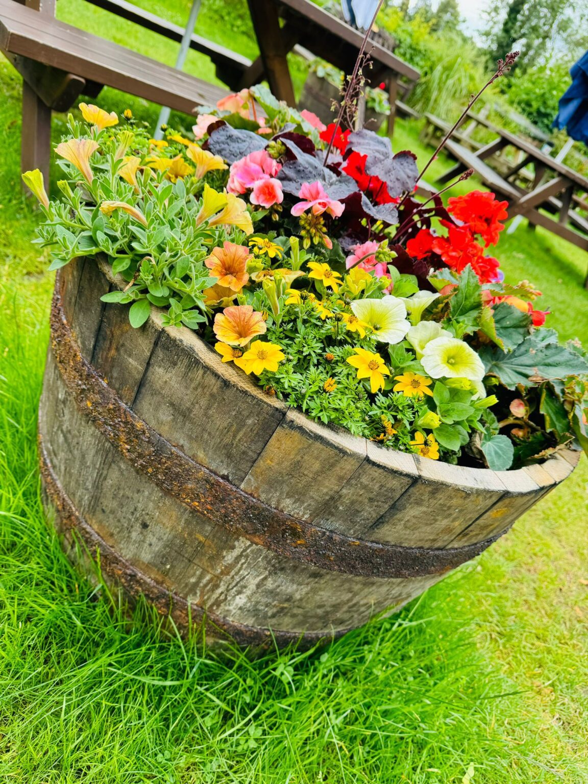 Home | The Woolpack Buckingham - Your neighbourhood public house